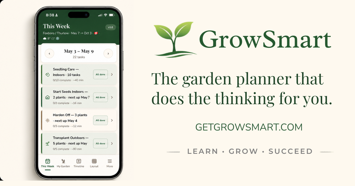 Companion Planting for Tomatoes — What to Grow Alongside and What to ...